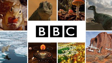 BBC