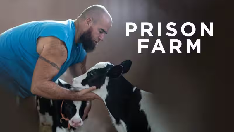 Prison Farm