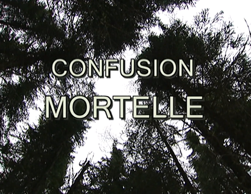 Confusion mortelle : l'histoire de Reesor Siding (partie 1 de 2)