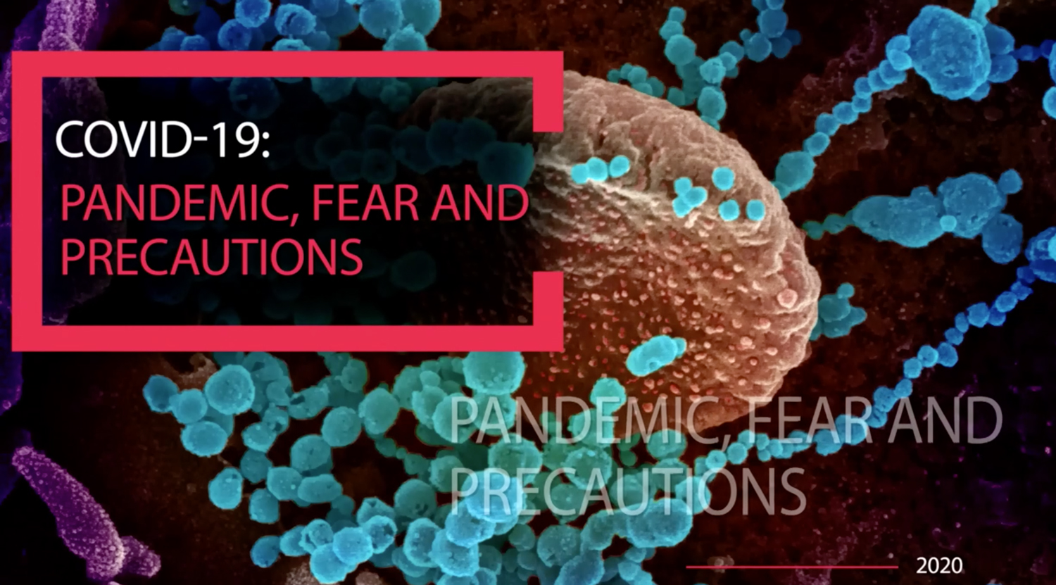 Covid-19: Pandemic, Fear and Precautions