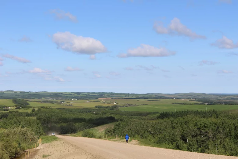 Finding Cleo, Episode 6: Little Pine