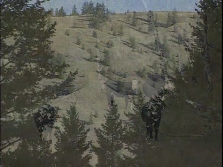 Standoff At Gustafsen Lake