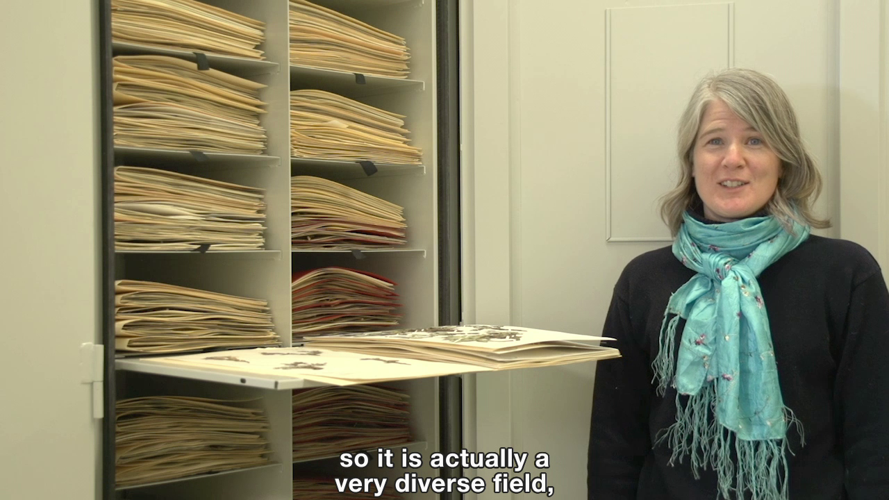 Women in Science – Jennifer Doubt on careers in botany