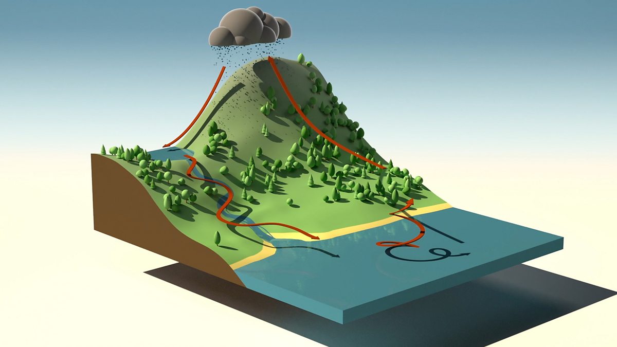 What is the water cycle?