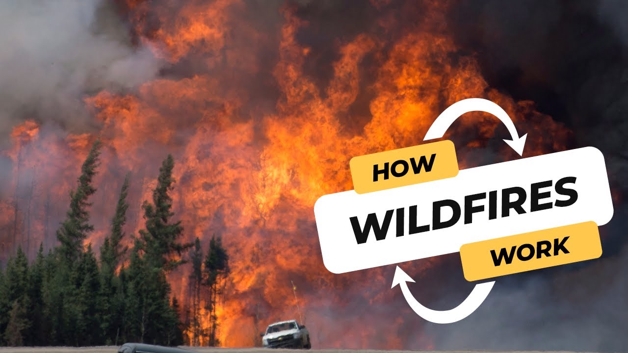 The science behind wildfires: How they start and spread